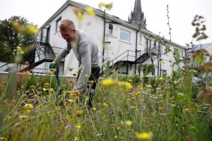 About Us | Dublin Simon Community